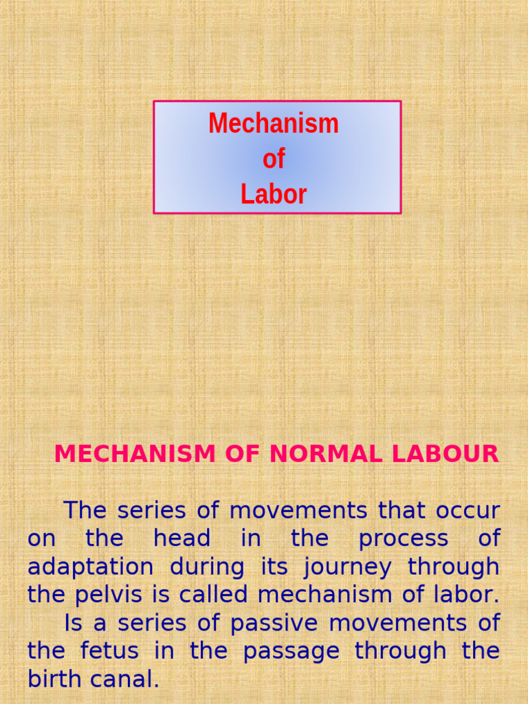 Mechanism of Labor | PDF