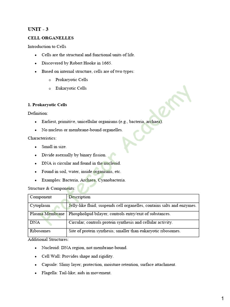 Unit 3 Notes | PDF | Endoplasmic Reticulum | Cell Membrane
