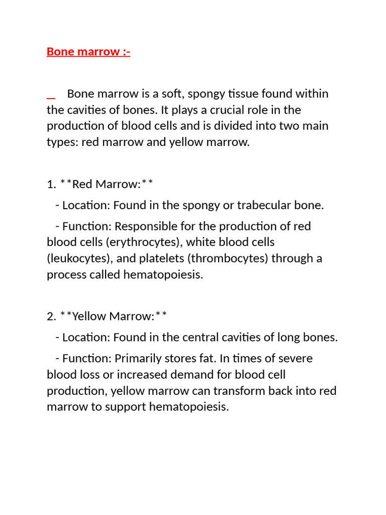 Bone Marrow - Anatomy | PDF