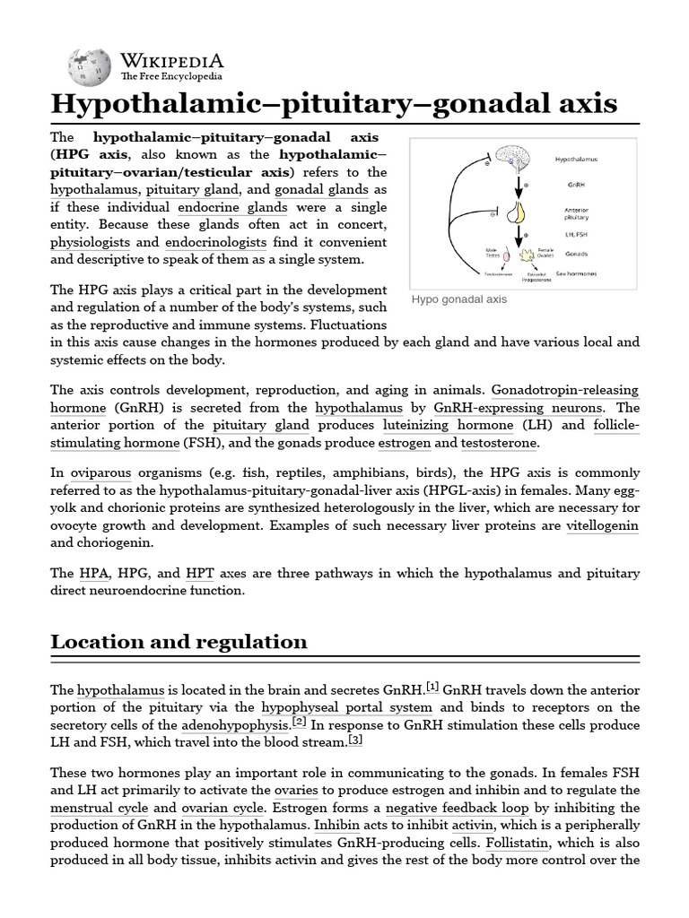 Hypothalamic-Pituitary-Gonadal Axis | PDF | Menstrual Cycle ...