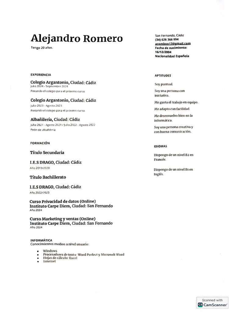 Currículum Vitae Ale | PDF