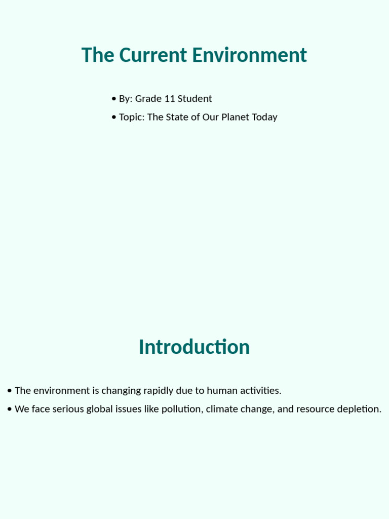 The Current Environment | PDF