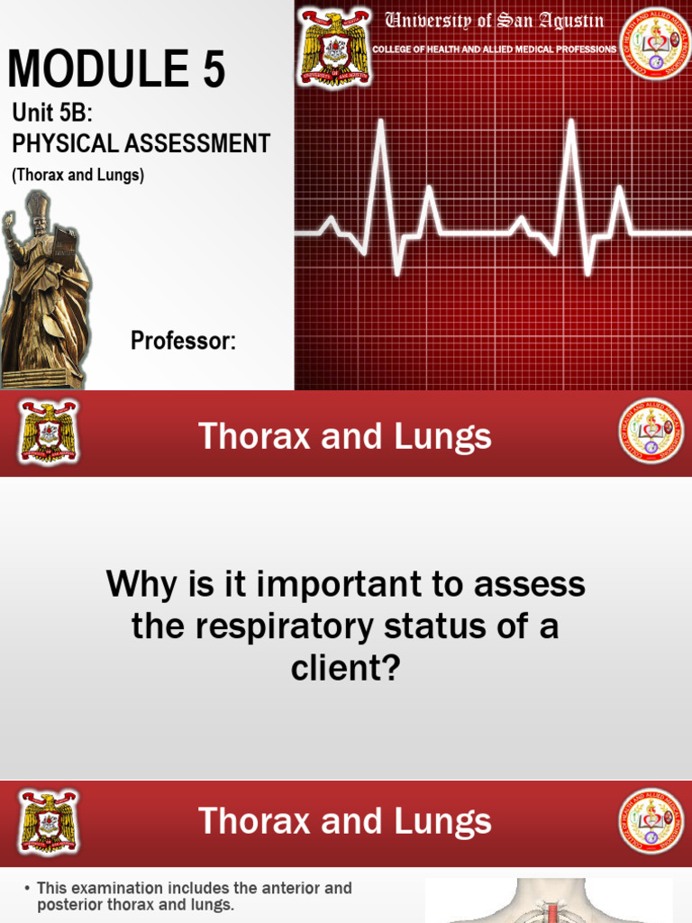 Module 5 Thorax and Lungs | PDF | Thorax | Lung