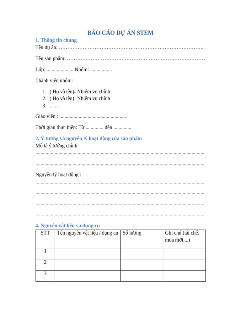 Form Báo Cáo D Án | PDF