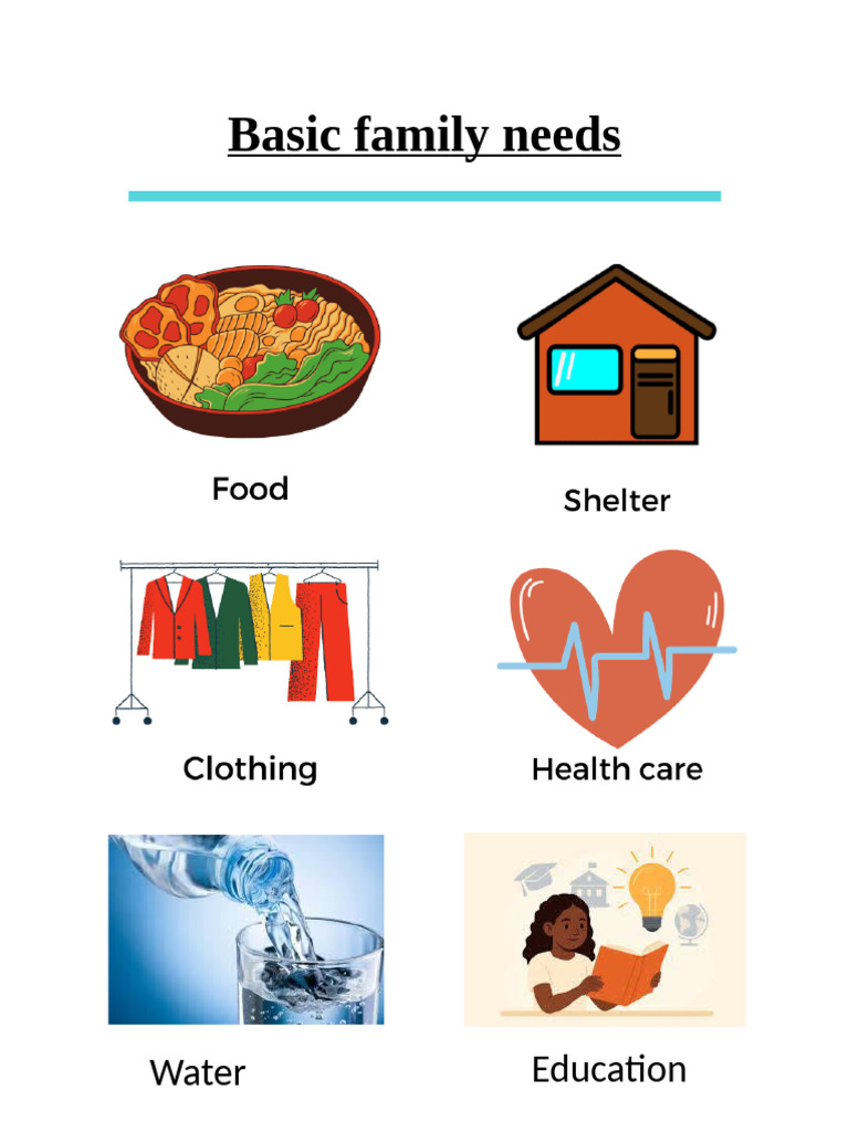 Basic Family Needs - Docx CBC | PDF