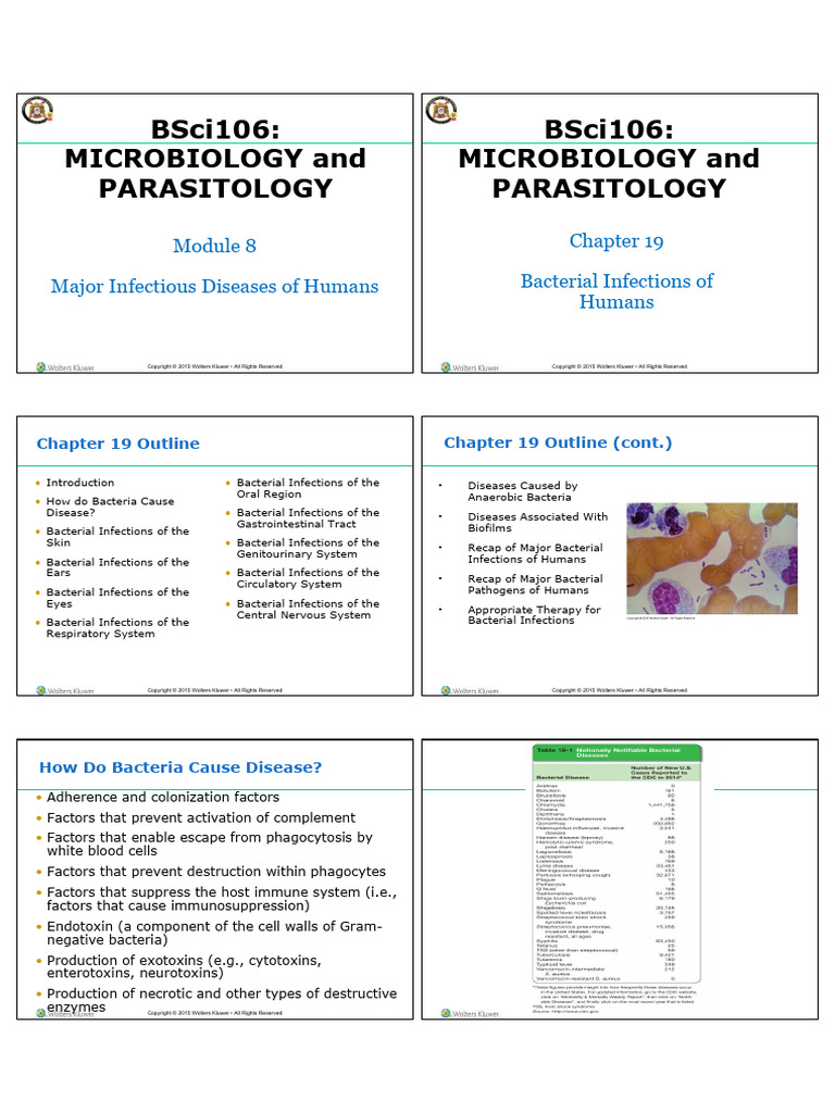 Chapter 19 Bacterial Infections of Humans | PDF | Pneumonia | Infection