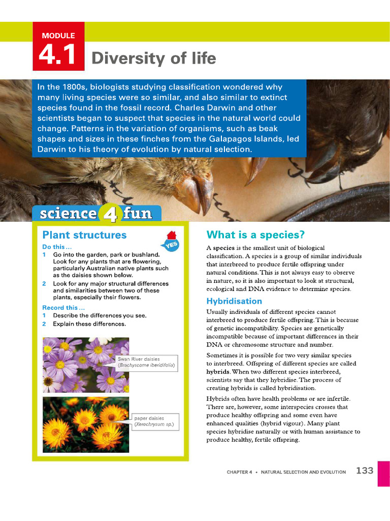 4.1 Diversity of Life 2 | PDF