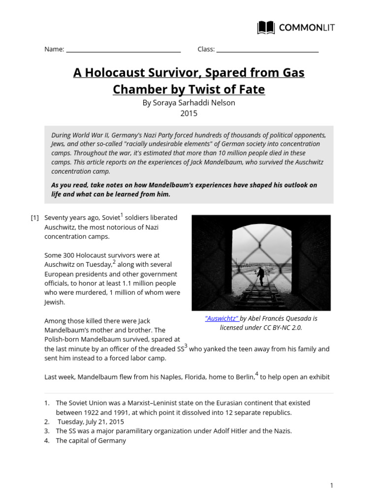 Holocaust Survivor's Remarkable Escape | PDF | Extermination Camp | The ...