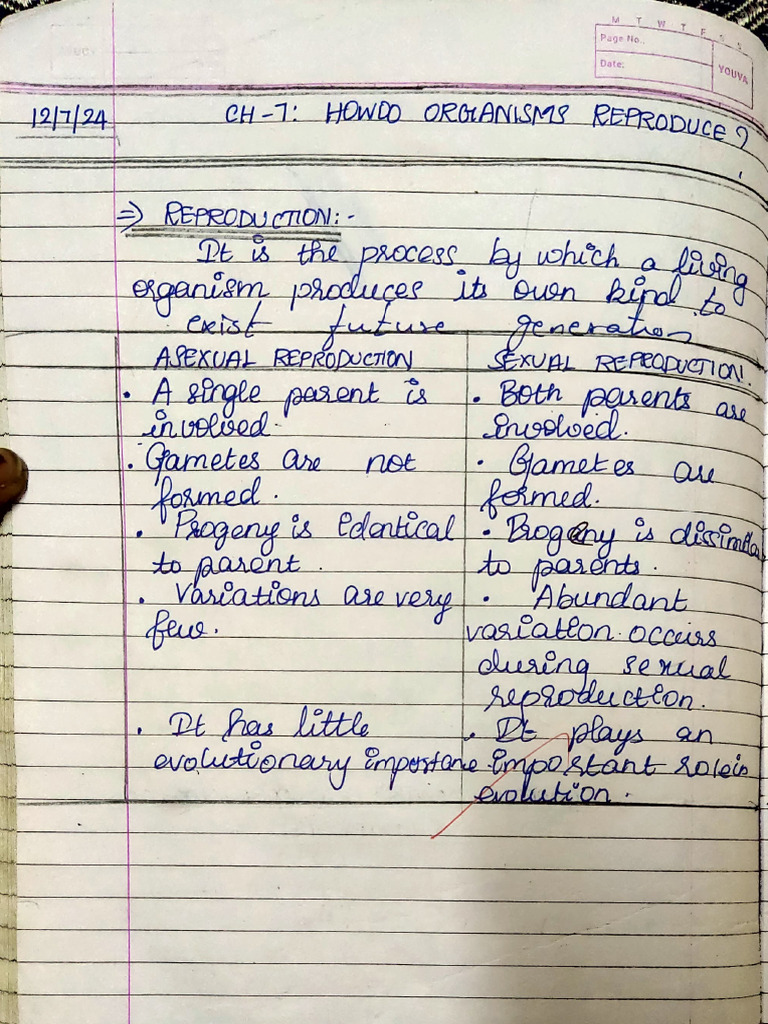 How Do Organisms Reproduce CW Notes | PDF