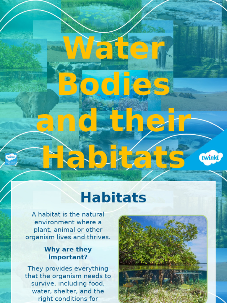 Water Bodies and Their Vital Habitats | PDF | Habitat | Water