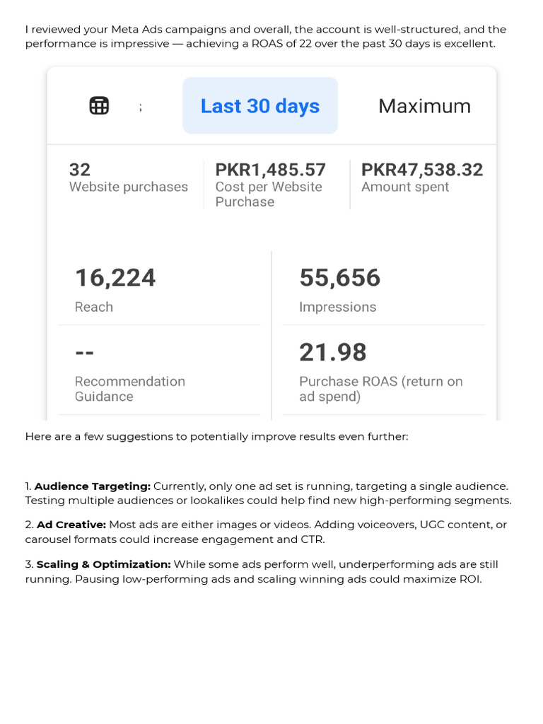 Meta Ads Campaign Review & Optimization Tips | PDF