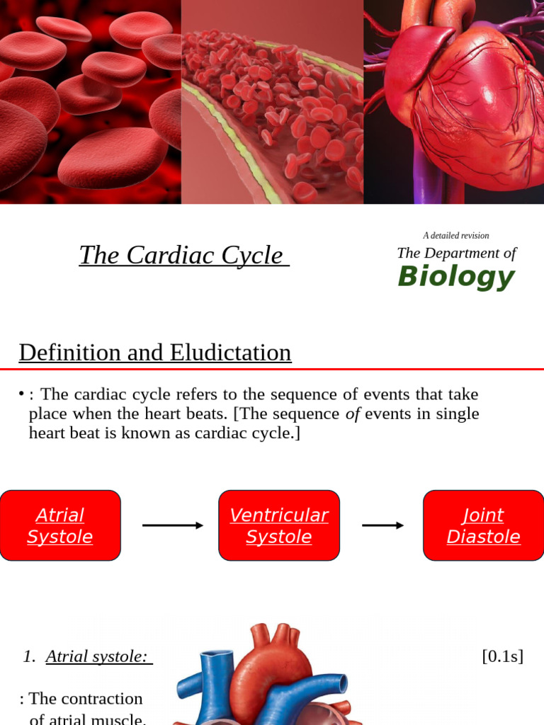 Cardiac Cycle Biology | PDF | Heart Valve | Atrium (Heart)