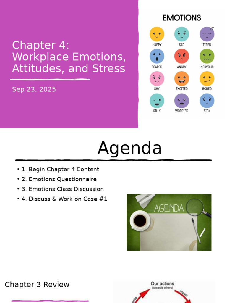 OBHR 317 Chapter 4 Intro To OB Workplace Emotions, Attitudes, and ...