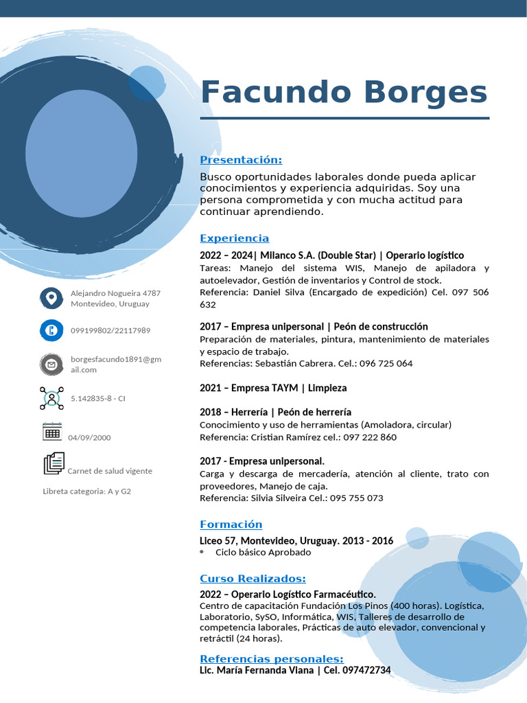CV Facundo Borges2024 | PDF