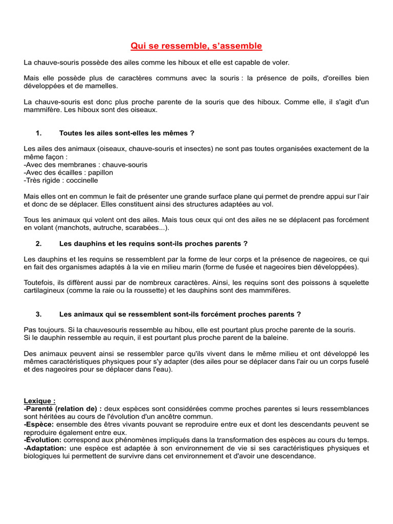 Parenté et adaptation des animaux | PDF | Chauve-souris | Requins