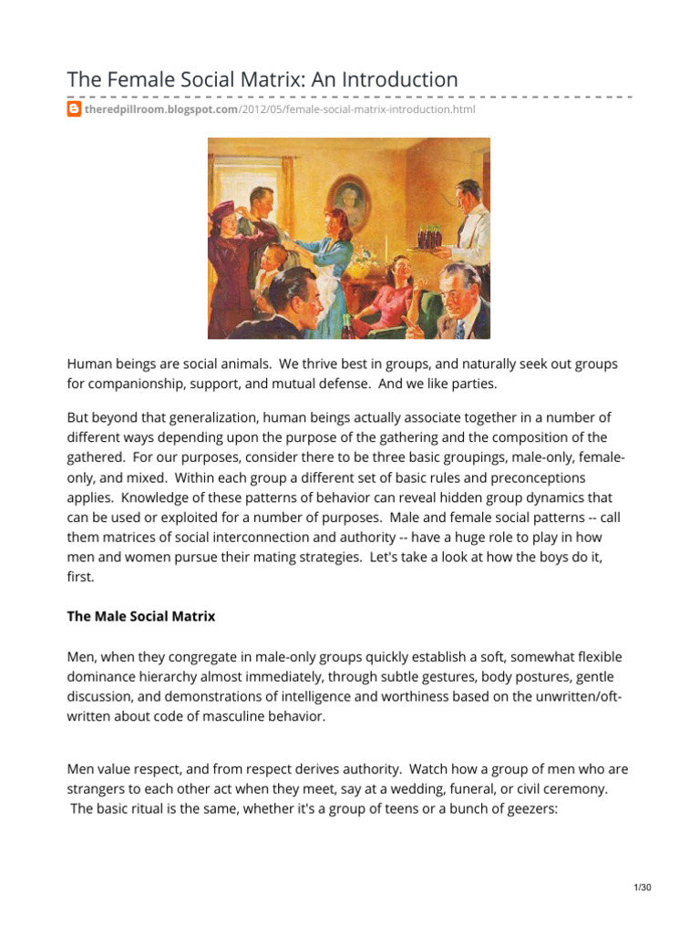 Understanding Female Social Hierarchy | PDF | Matrix (Mathematics ...