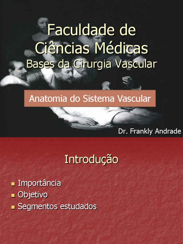 Anatomia do Sistema Vascular: Uma Abordagem dos Principais Conceitos e ...