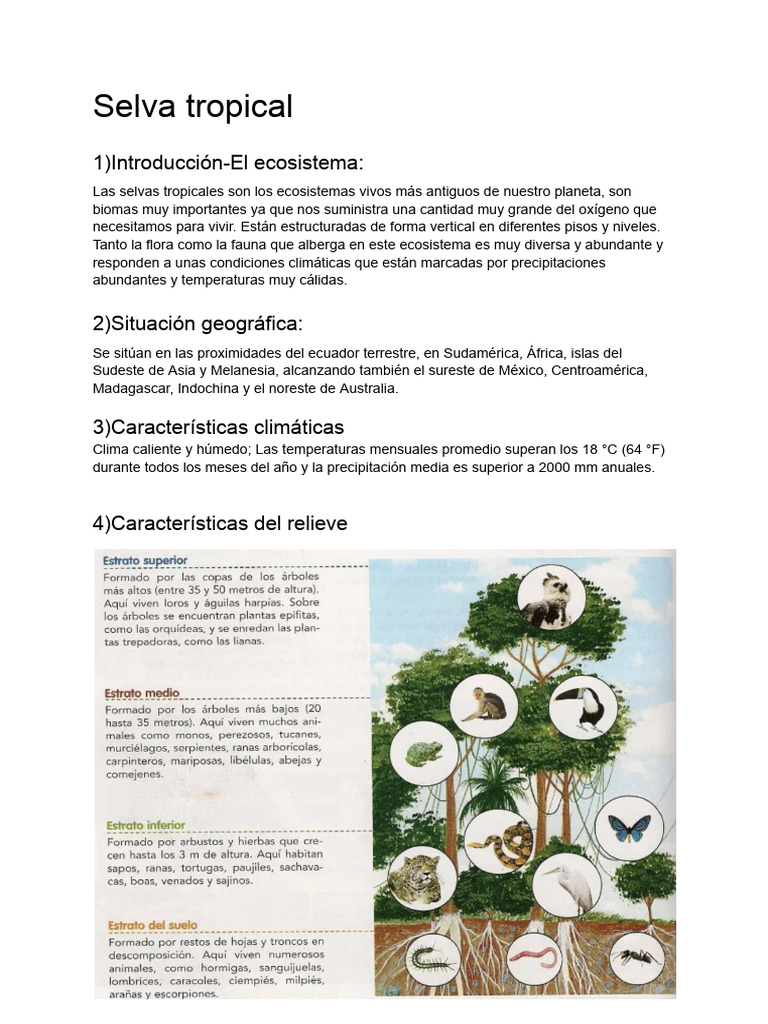 Biomas & Ecosistemas-Selva Tropical | PDF