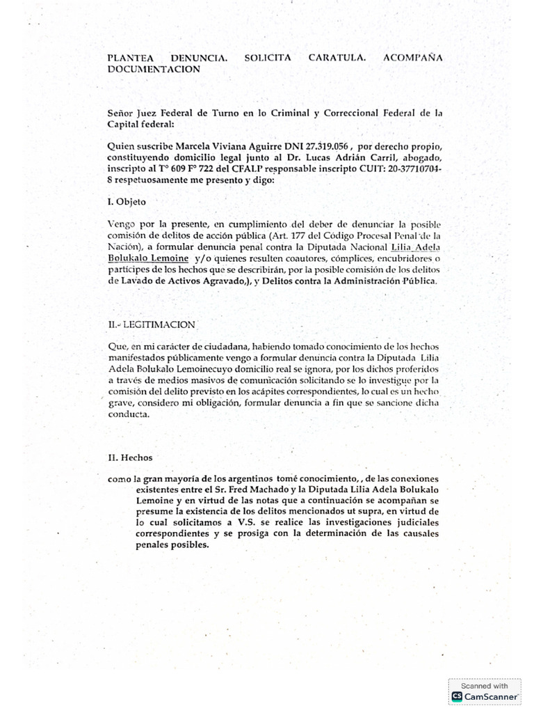Denuncian a la diputada Lilia Lemoine por encubrimiento y los vínculos ...