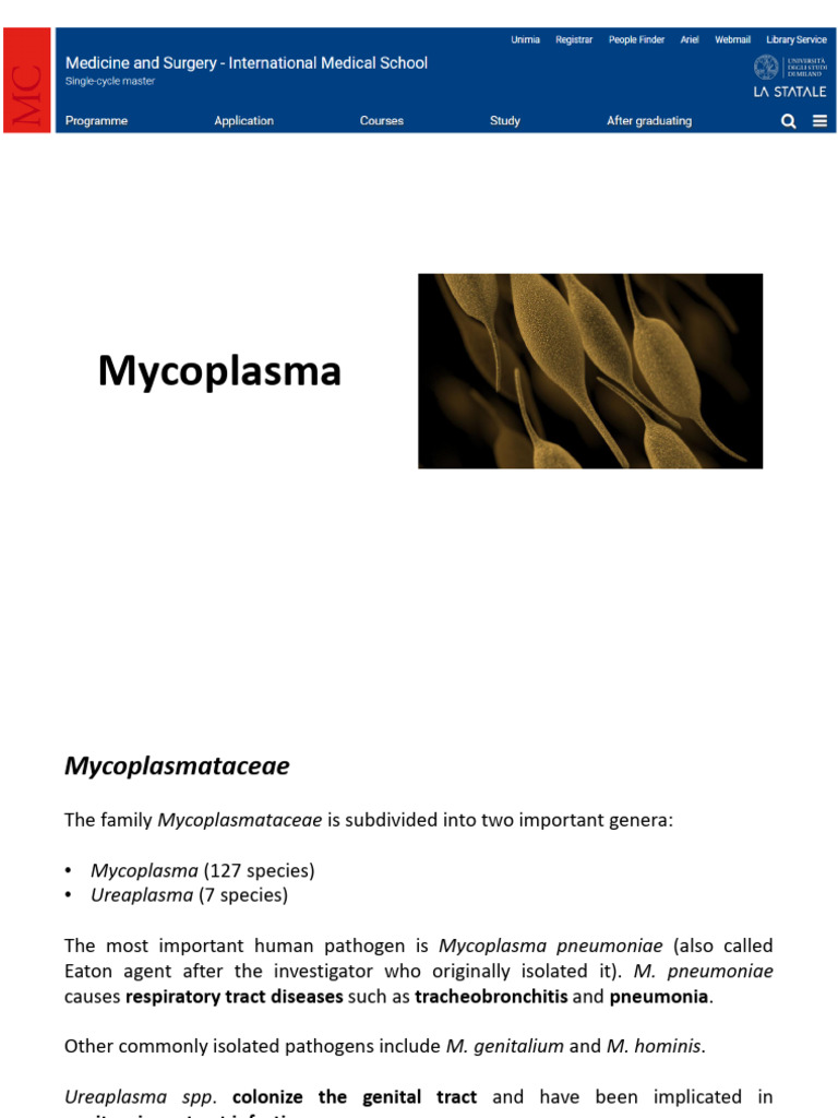 8.mycoplasma Chlamidia Rickettsia | PDF | Pneumonia | Infection