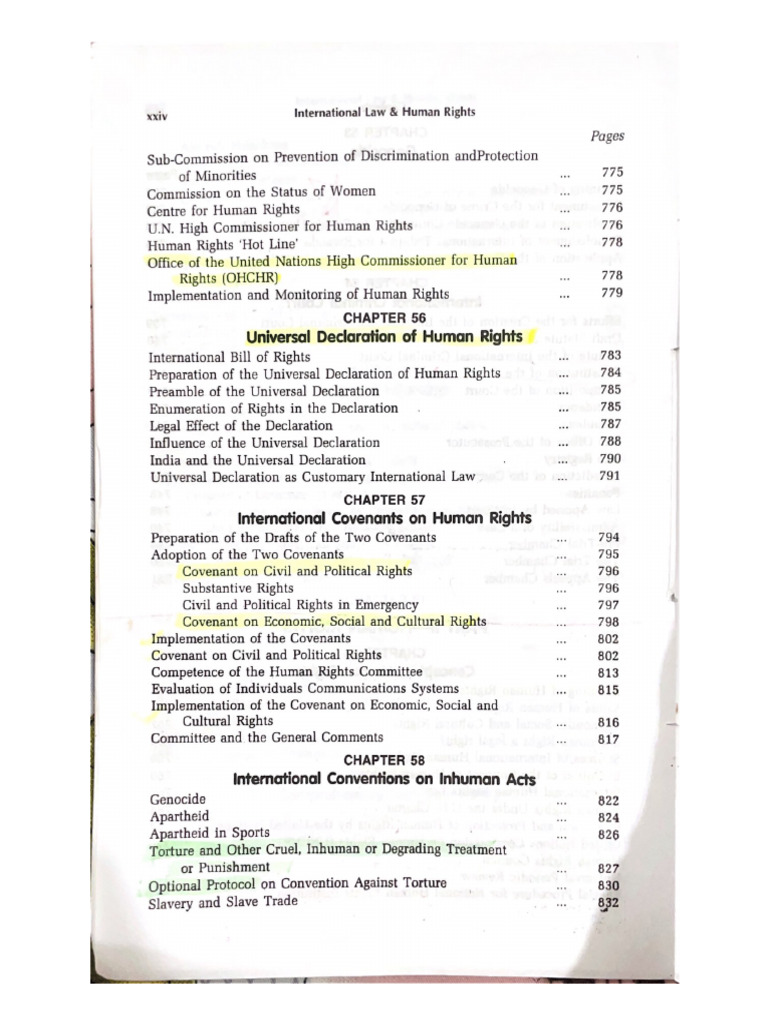 International Law & Human Rights | PDF