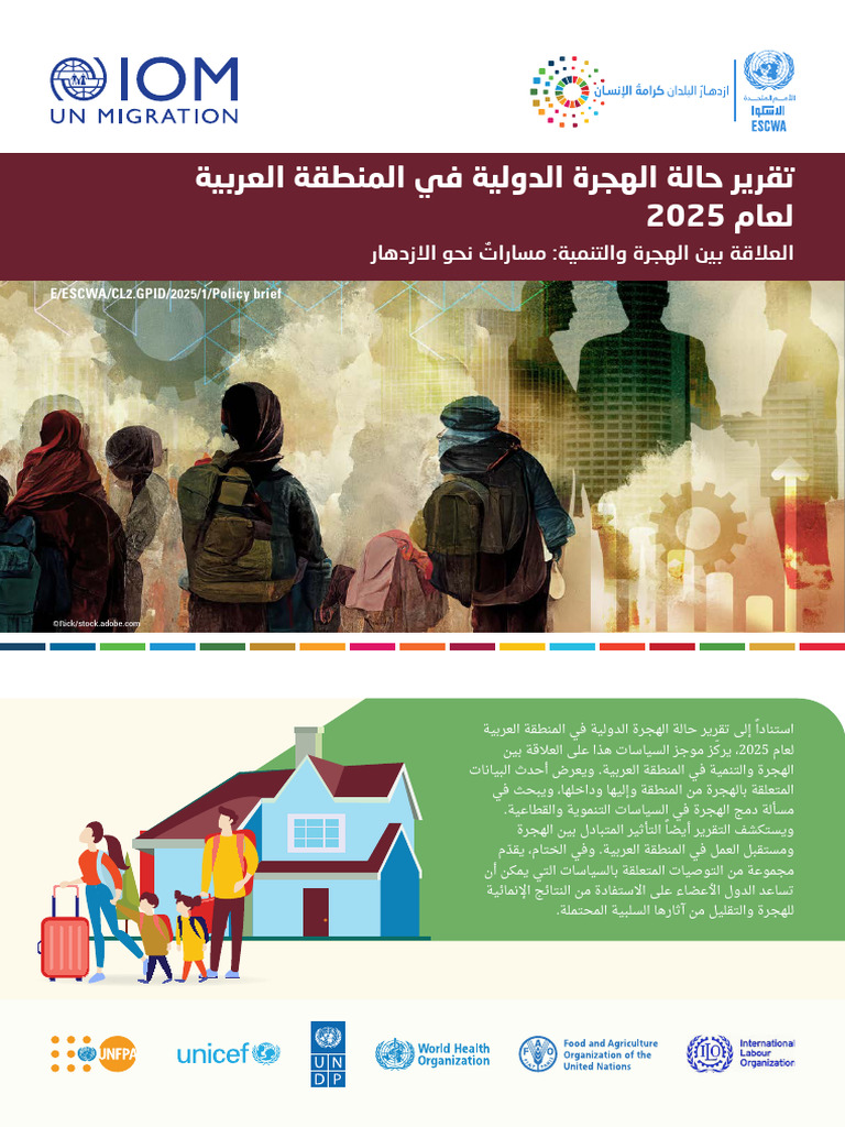 Situation Report International Migration Arab Region 2025 Policy | PDF