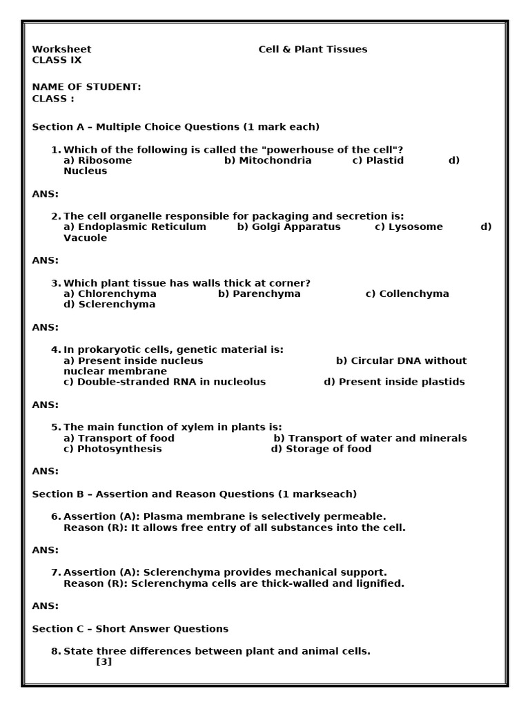 Cell & Plant Tissues Worksheet IX | PDF