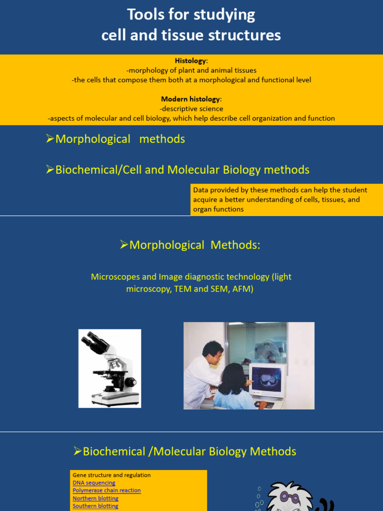 Lecture Methods | PDF | Staining | Angular Resolution