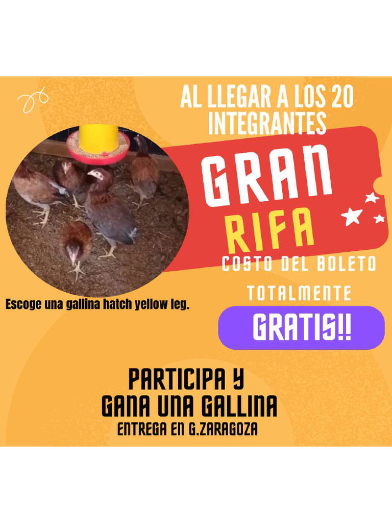 Yellow Colorful Raffle Contest Illustrative Instagram Post | PDF