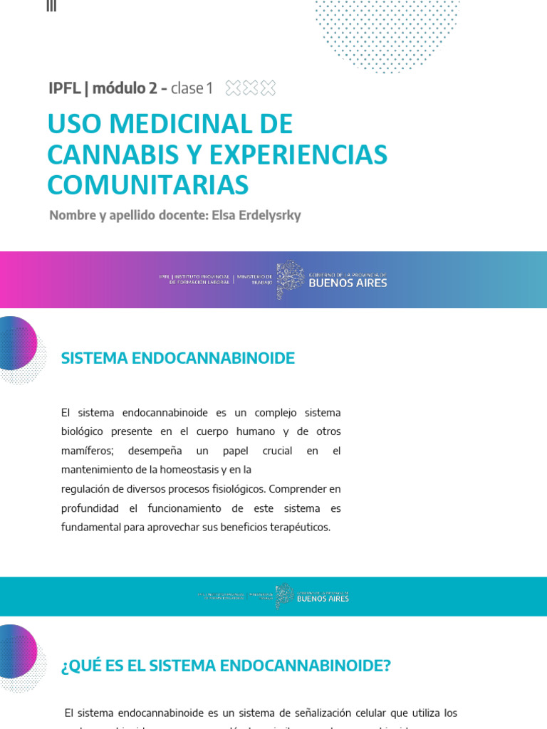 Uso Medicinal de Cannabis Y Experiencias Comunitarias: IPFL - Módulo 2 ...