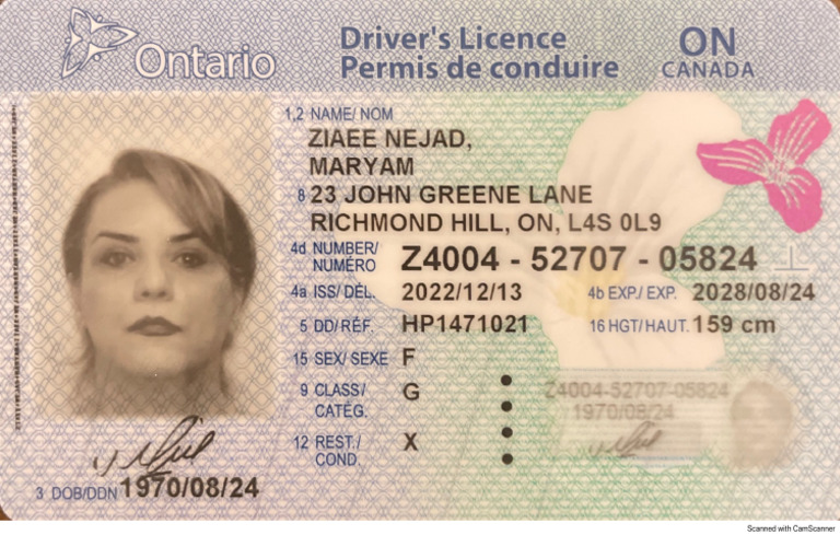 Driver License | PDF