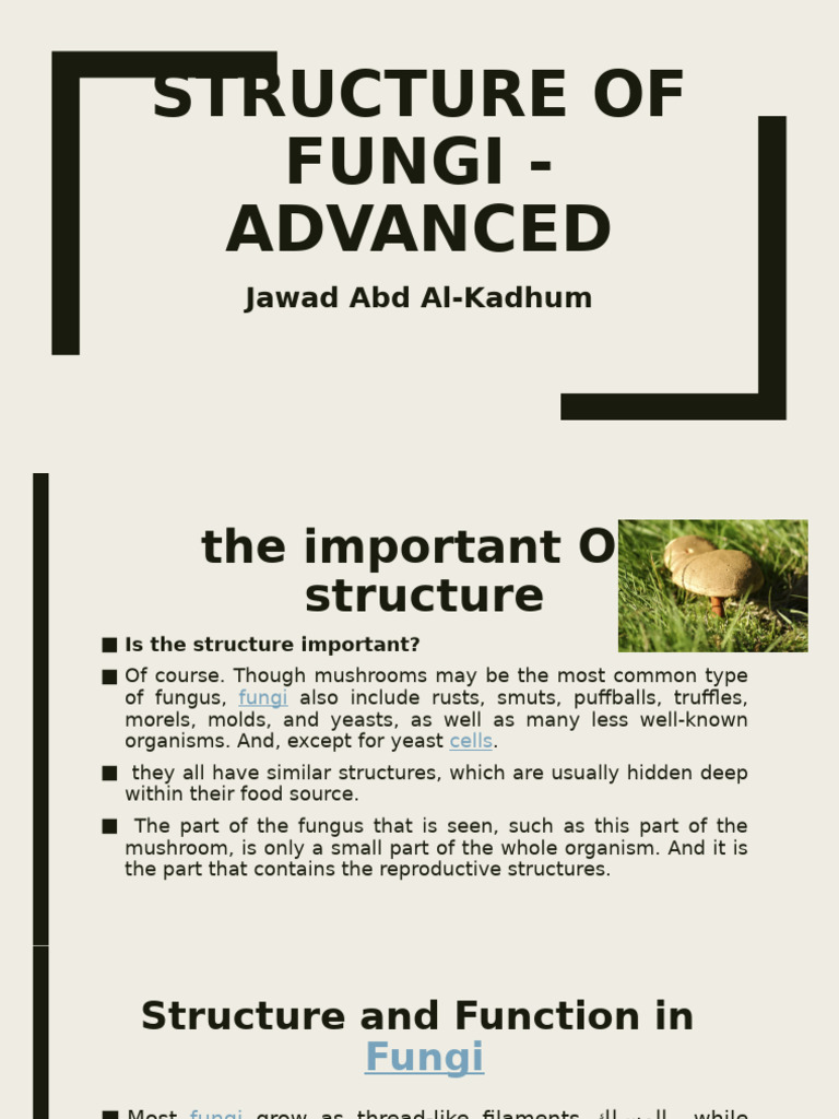 Structure and Function of Hyphae | PDF | Fungus | Mycology