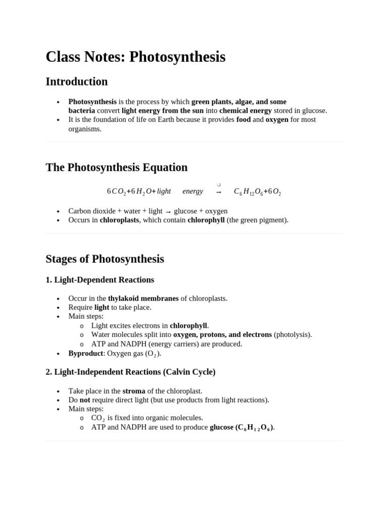 Understanding Photosynthesis Basics | PDF