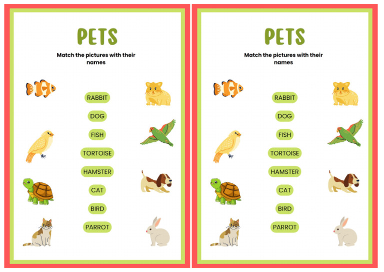 Pets Matching | PDF