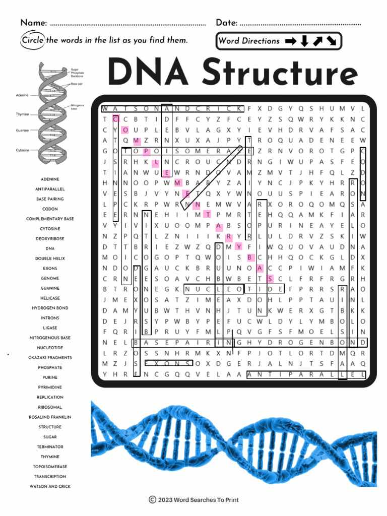 Kami Export - Madeline Cabrera Alcantara - Dna Word Search | PDF