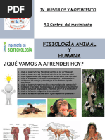 Ejemplos de Movimiento Ameboide | PDF | Músculo esquelético | Biología ...