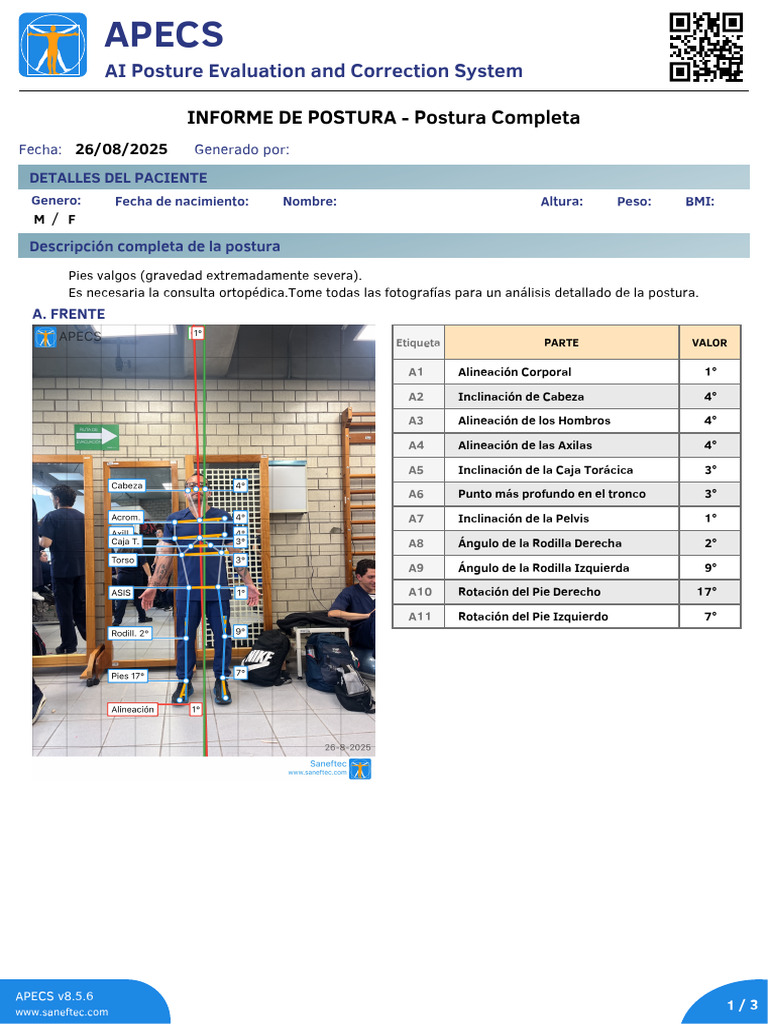 Apecs Report 26-08-2025 | PDF | Sistema musculoesquelético