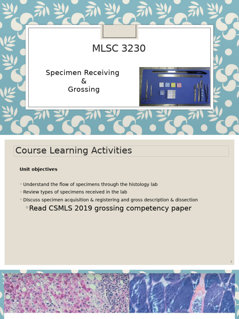 Histology Specimen Receiving Guide | PDF | Anatomical Terms Of Location ...