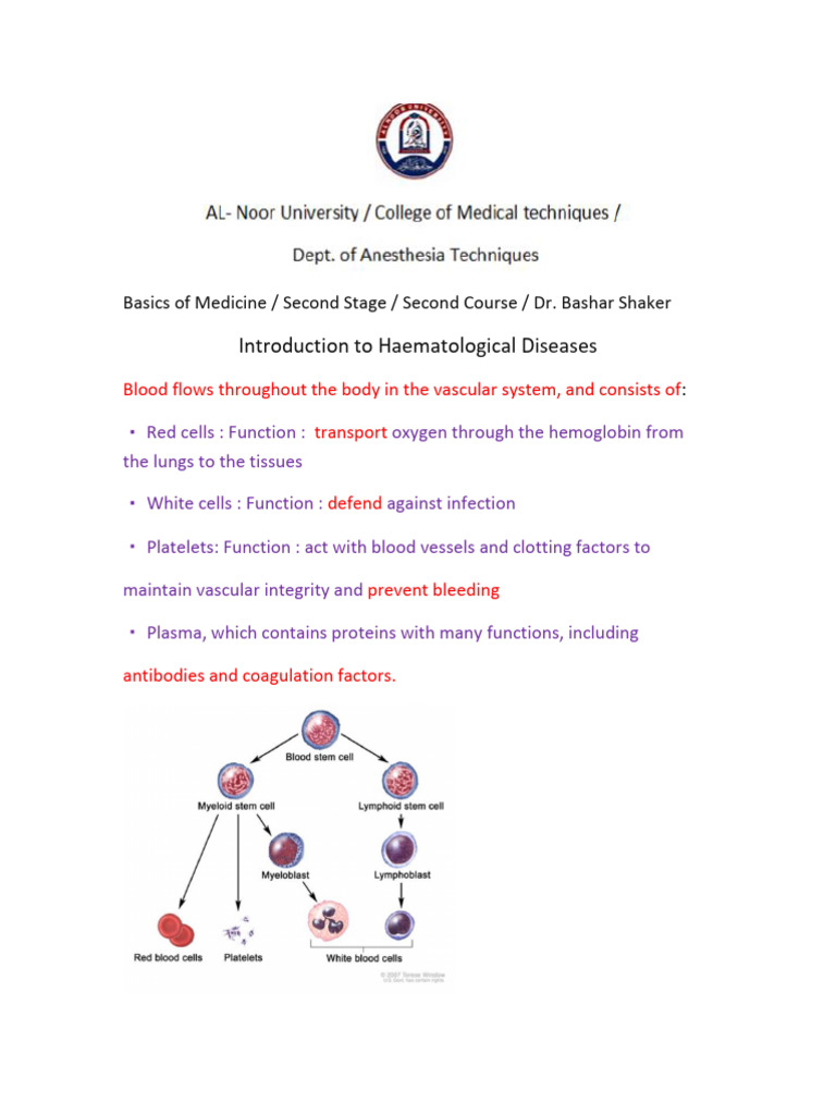 Introduction to Haematological Diseases | PDF | White Blood Cell ...
