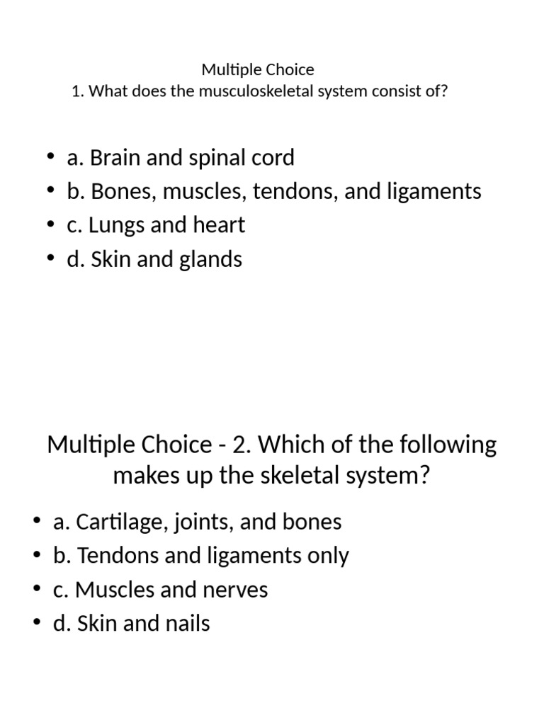 Musculoskeletal System Quiz Questions | PDF | Skeleton | Human ...