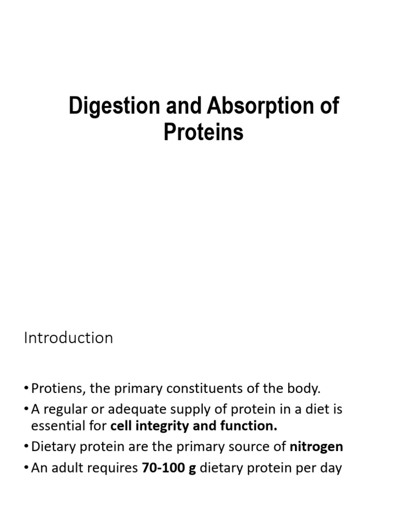 Digestion Absorpton of Proteins | PDF | Digestion | Pancreas