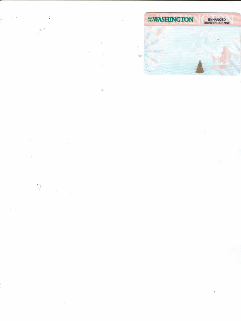 Blank Idf 05152025 | PDF