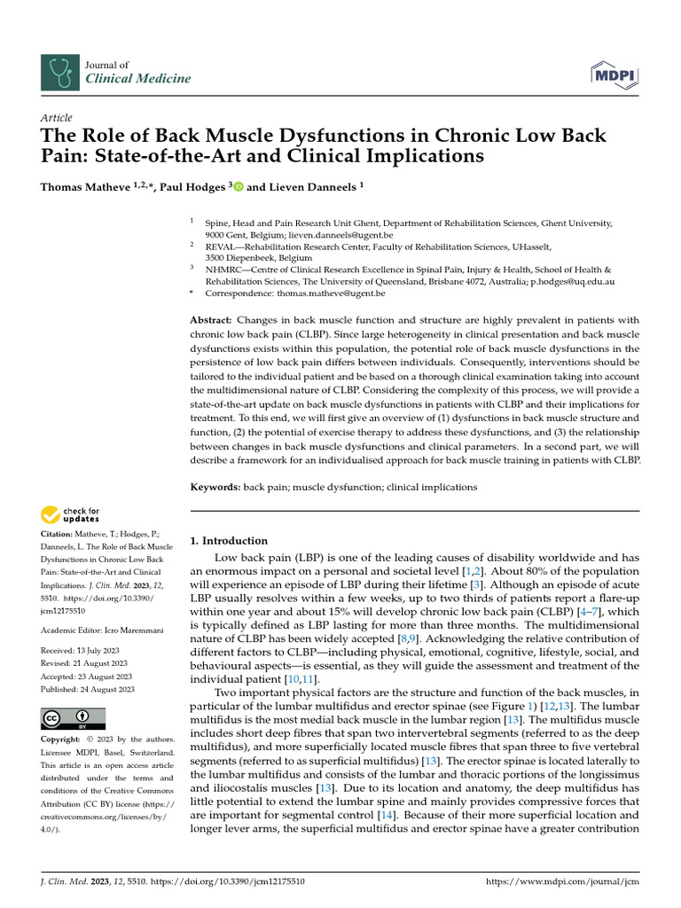 The Role of Back Muscle Dysfunctions in Chronic Low Back | PDF | Skeletal Muscle | Pain