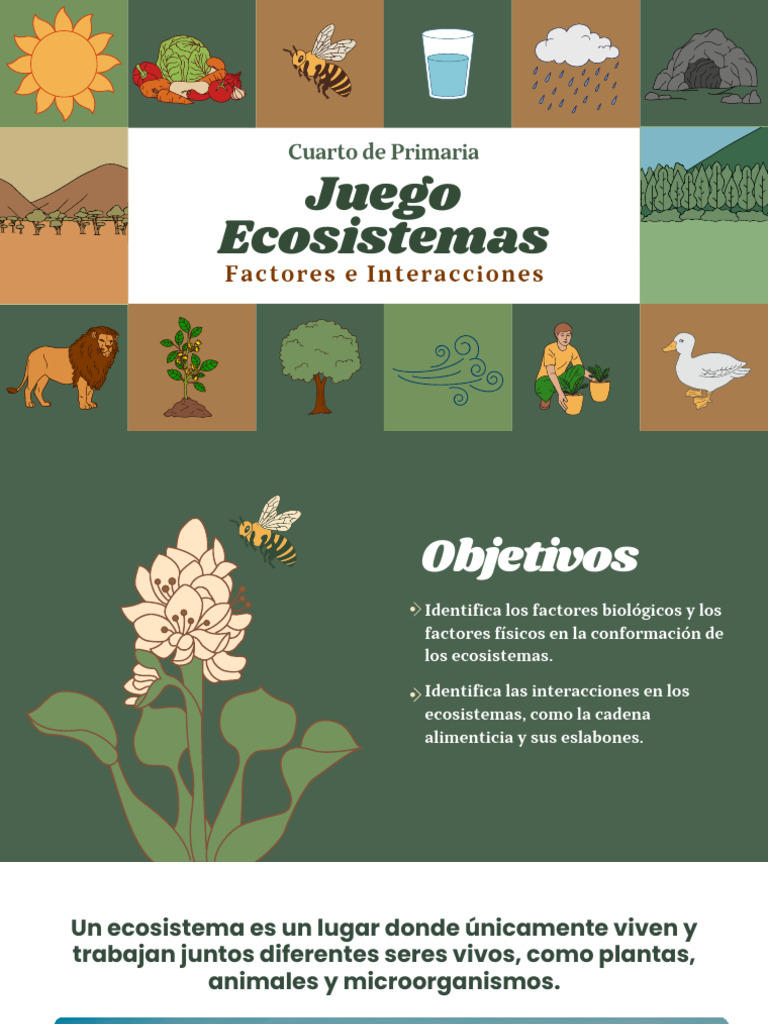 Presentación de Juego Sobre Ecosistemas Ilustrado Colorido | PDF ...