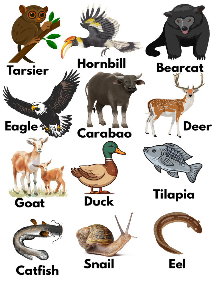 Reward Chart Poster Colorful Spinner Style | PDF