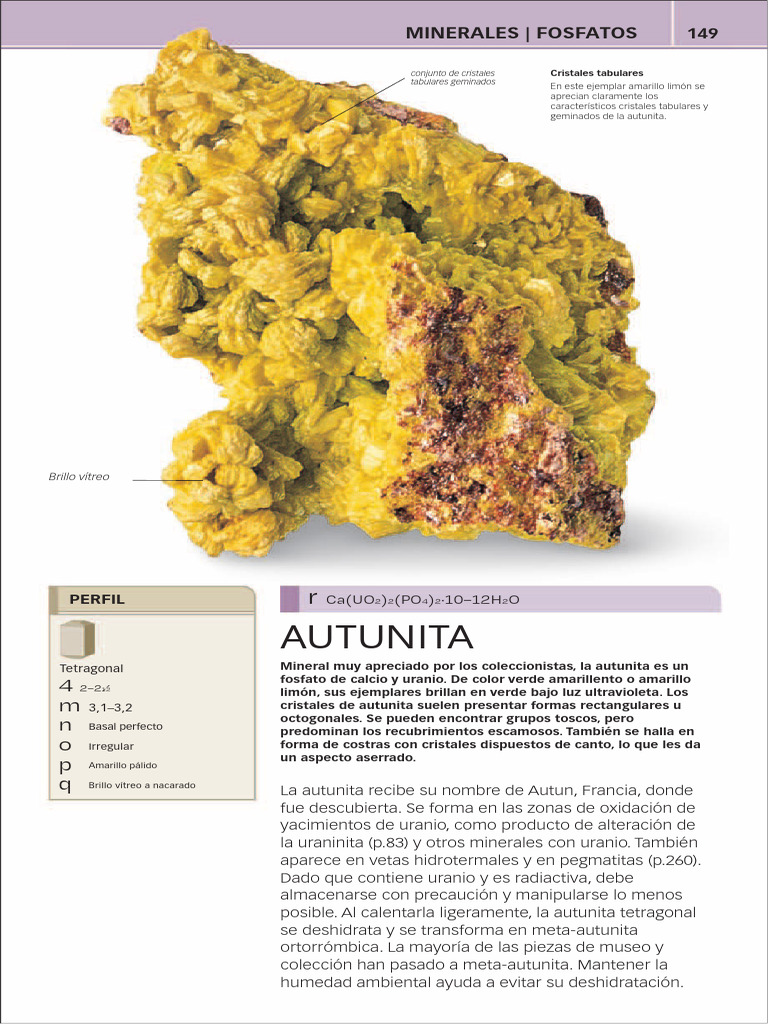Minerales Fosfatos: Autunita, Monacita y Más | PDF | Minerales | Cuarzo