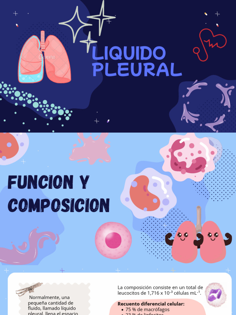 Función del líquido pleural en la respiración | PDF | Pulmón | Anatomía