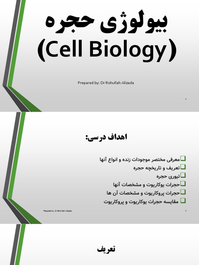 Cell Biology | PDF