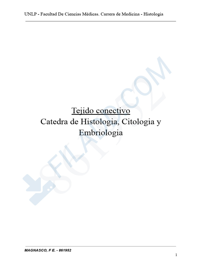 Tejido Conectivo 250928 163015 | PDF | Tejido conectivo | Colágeno
