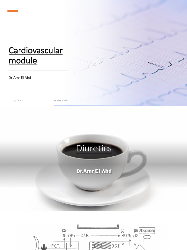 Diuretics 1 2nd Year Pharma Lecture 2021 2022 DR Amr EL Abd 1 | PDF